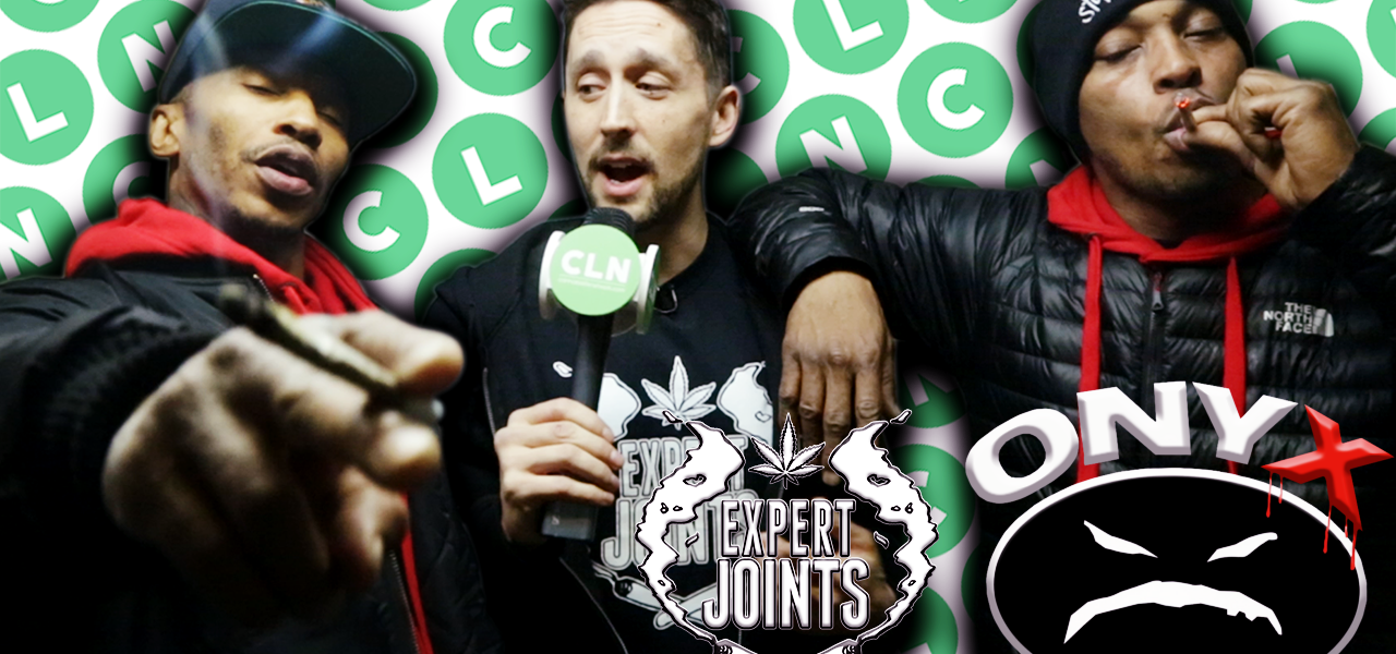 Cannabis Life Network – Breaking news and expert opinion on everything ...