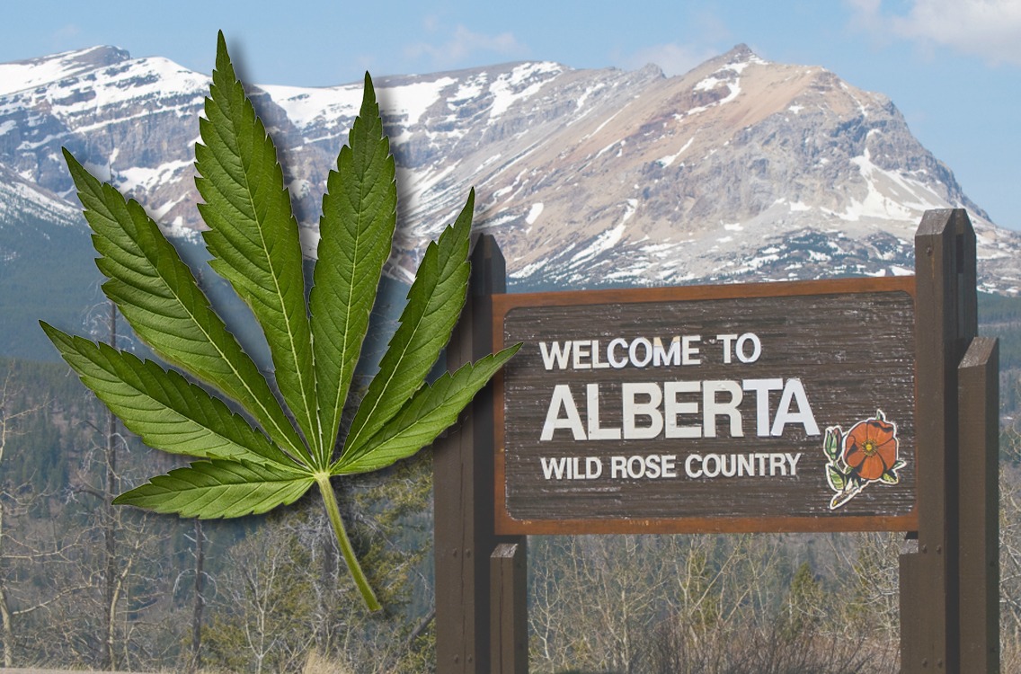 Cannabis in Alberta - Cannabis | Weed | Marijuana | News