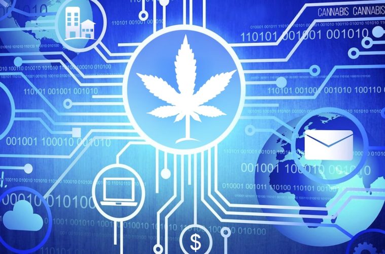 Bringing Cannabis into the Metaverse and onto the Blockchain