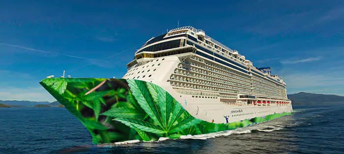 Cannabis on Cruise Ships - Cannabis | Weed | Marijuana | News